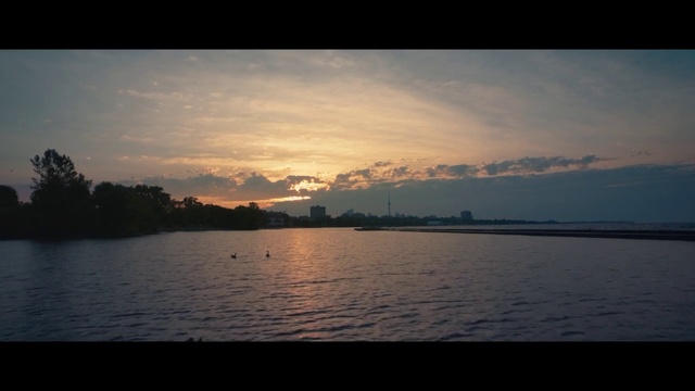 Refsee Service - AI-Powered Professional Video References Search